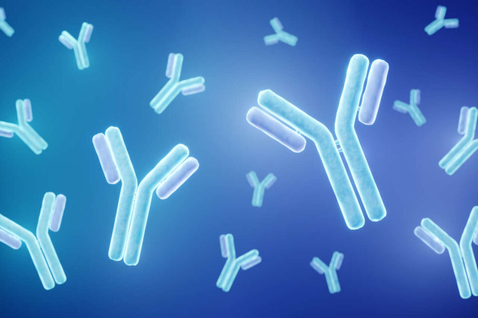 IVIG and Multifocal Motor Neuropathy (MMN): A Comprehensive Guide to ...
