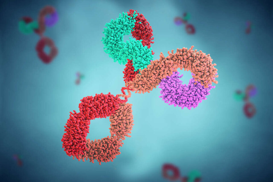 Carimune: A Comprehensive Guide to Its Benefits, Dosages, and ...